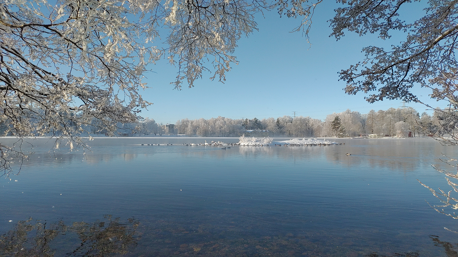 Ponnahduslauta työllistymiseen - heinolanuutiset.fi